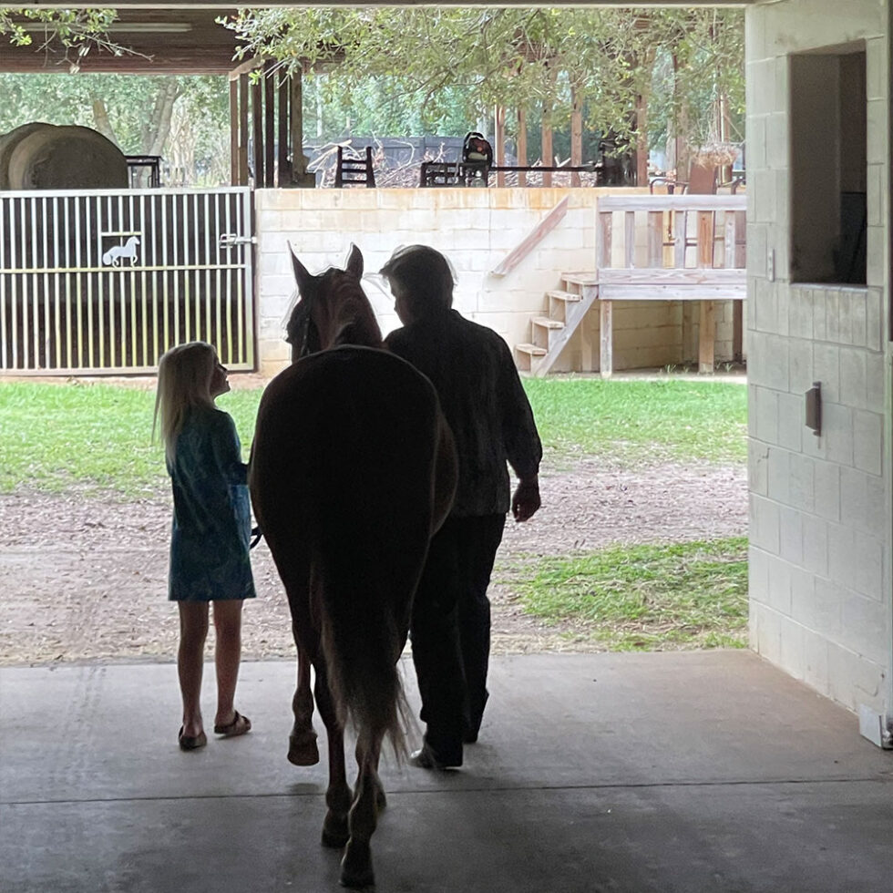 Marcia Davis Mediation | Mediation Services in North Florida